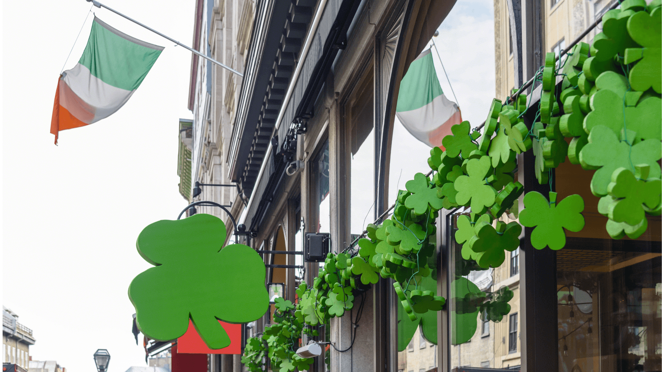 DC to NYC Luxury Bus Service | Tripper Bus